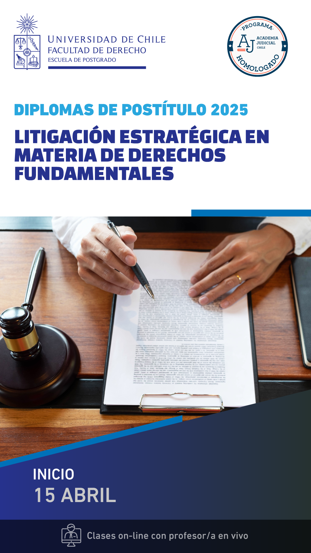 Diplomado en Litigación Estratégica en materia de Derechos Fundamentales - Universidad de Chile